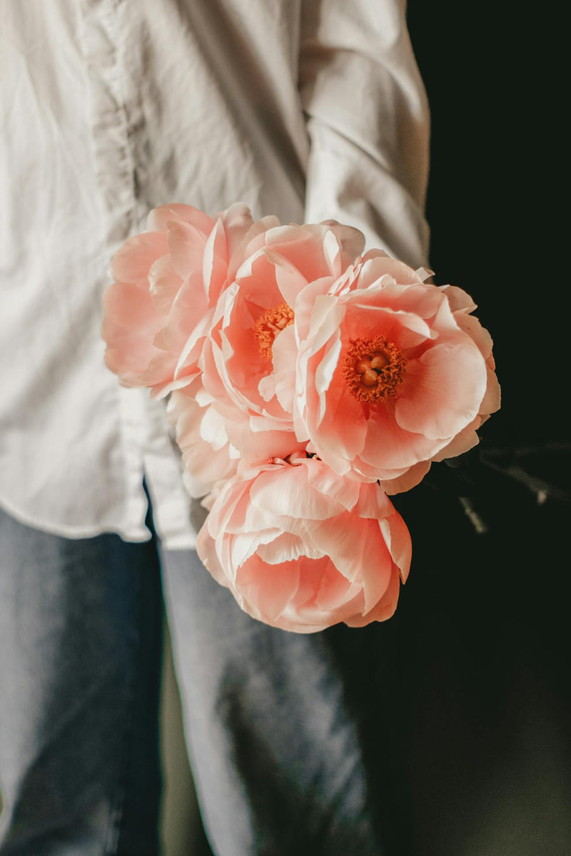 The world's most famous flower shows – Flowerbee HK Florist - Hong Kong ...