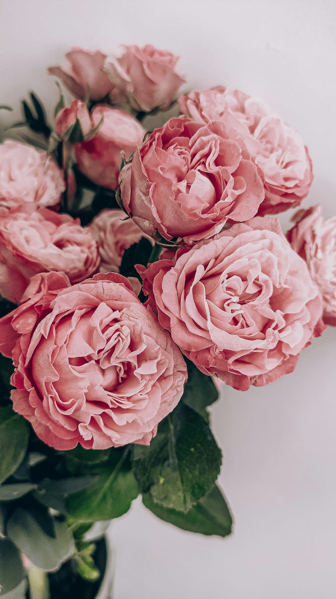 Roses and Beyond: Flowers That Symbolize Valentine's Day Around the Wo ...