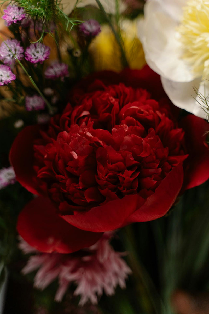 Mother's Day: how flowers became a symbol of motherhood – Flowerbee HK ...