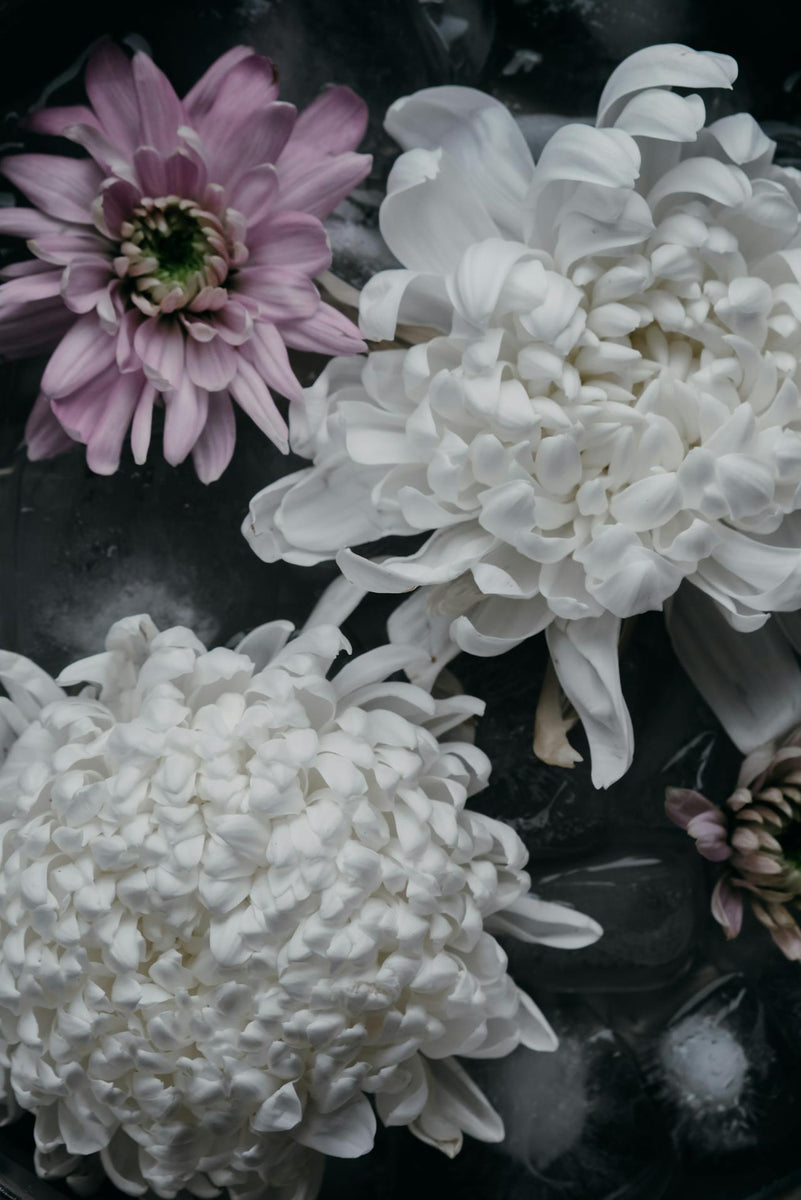 Guide to different types of chrysanthemums – Flowerbee HK Florist ...